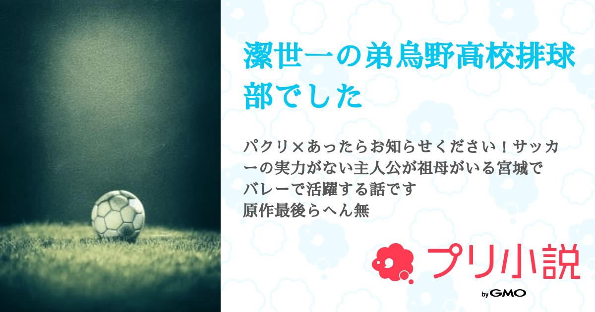 第42話：41話（潔世一の弟烏野高校排球部でした）｜無料スマホ夢小説ならプリ小説 byGMO